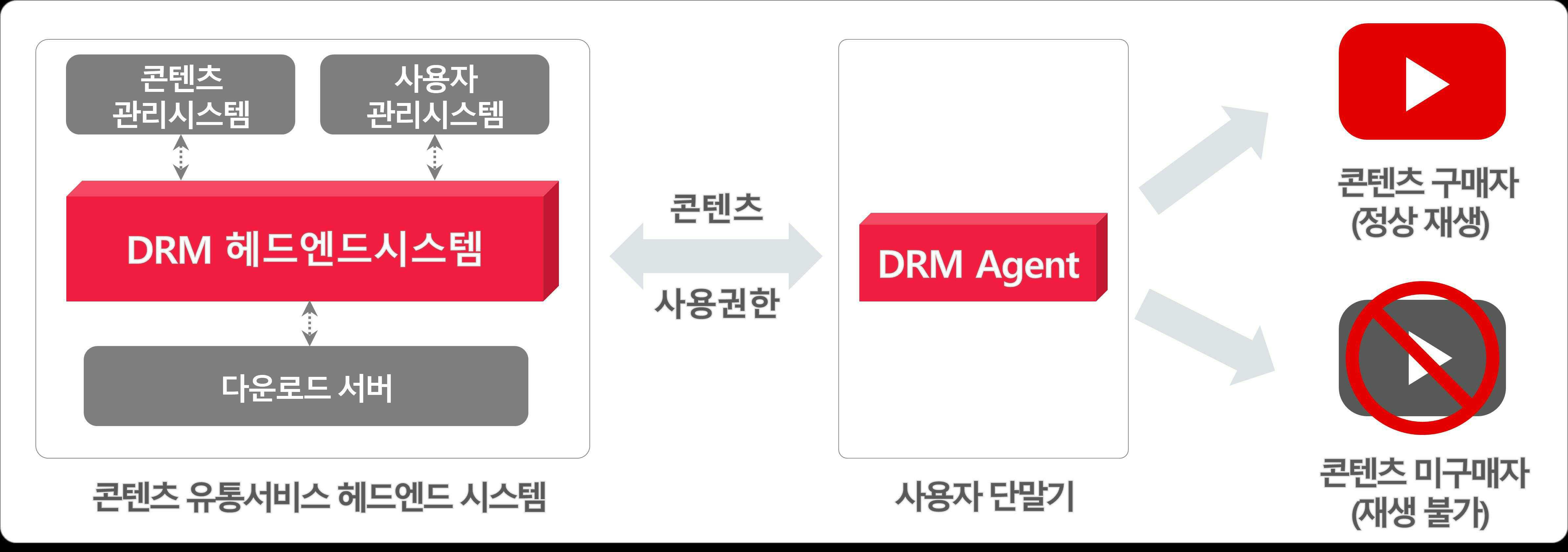 이미지: [DRM 솔루션 개념도]